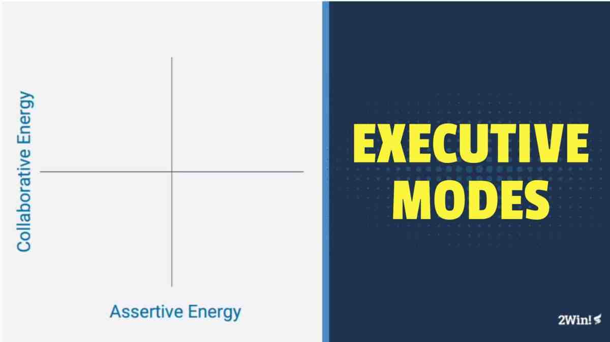 How to Lead Executive Conversations - 2Win! Global